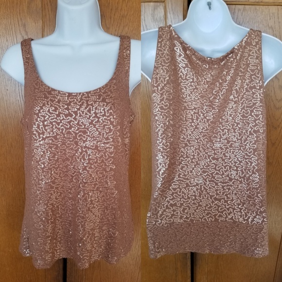 Talbots | Tops | Talbot Shimmery Bronze Tank Top Size Small | Poshmark